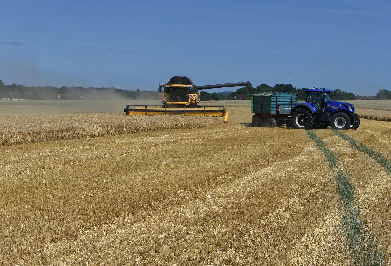 Ensilage : définition, méthode et conseils pour un fourrage de qualité ...